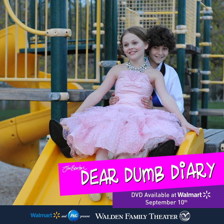 Picture of Dear Dumb Diary