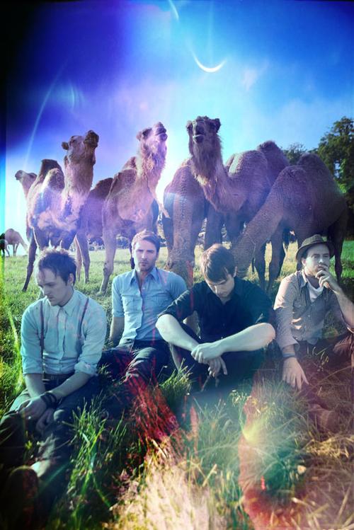 Image of Paper Route