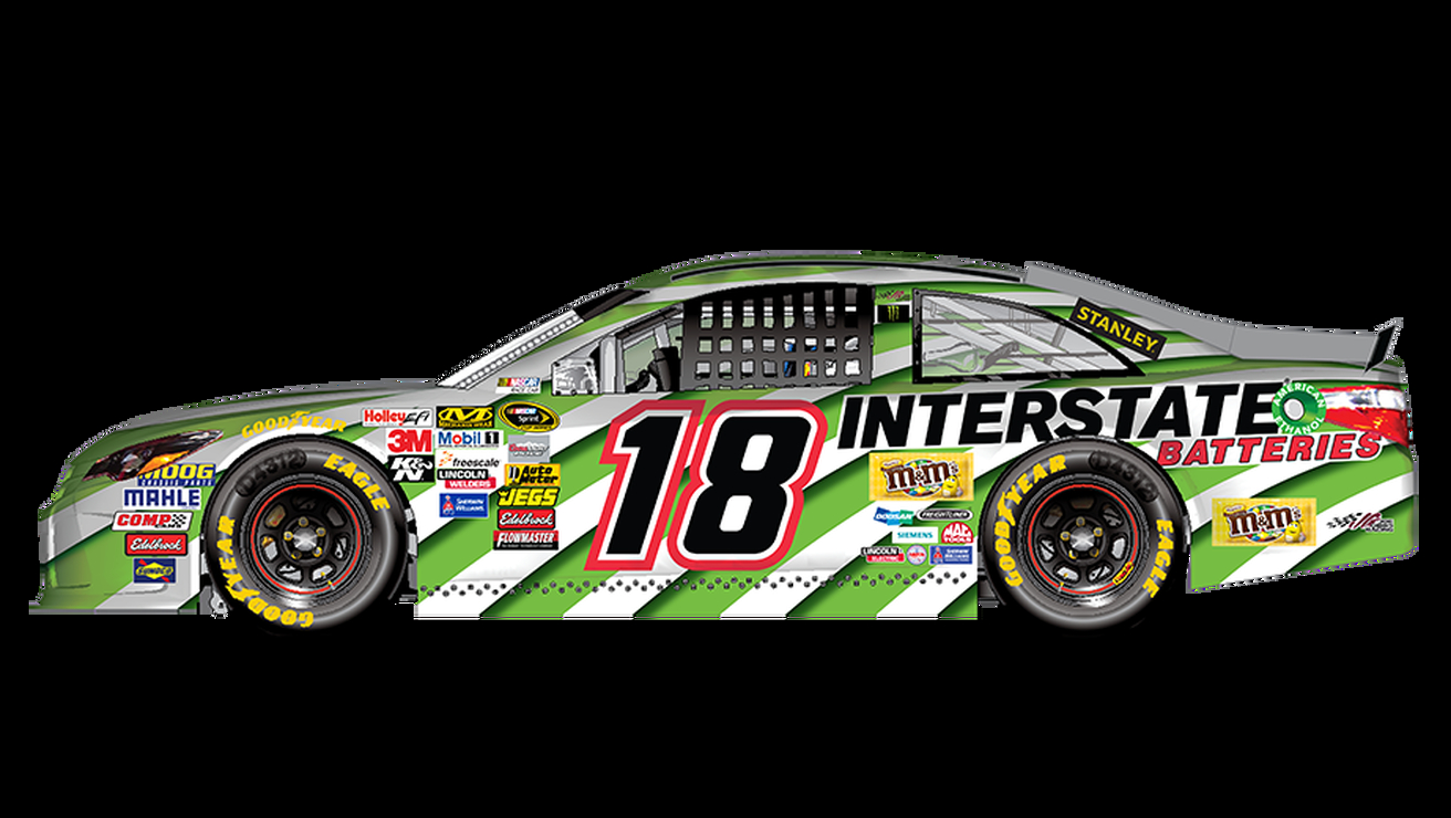 Picture of NASCAR Paint Schemes