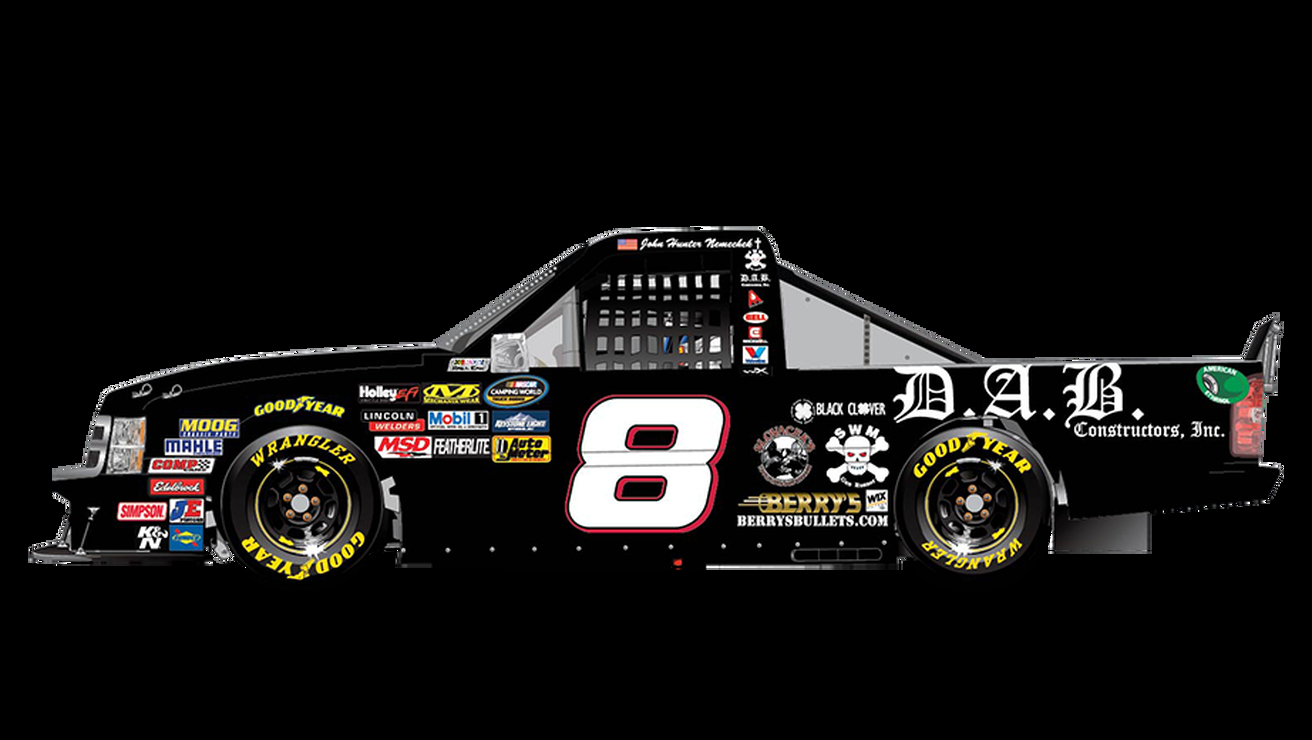 Picture of NASCAR Paint Schemes