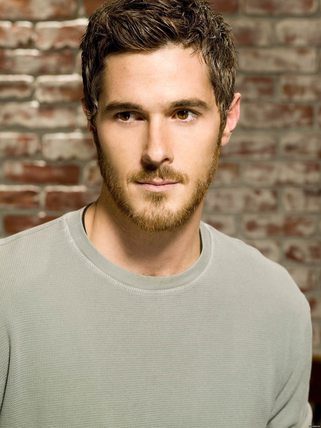 Picture of Dave Annable