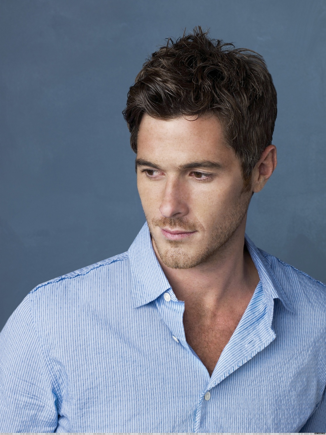 Picture of Dave Annable