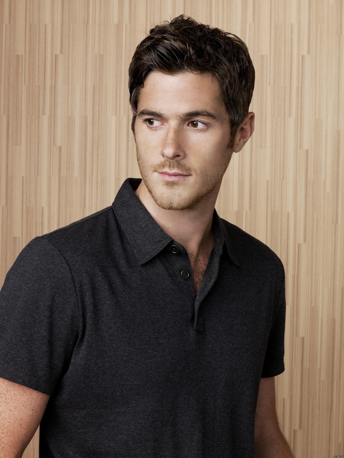 Dave Annable picture