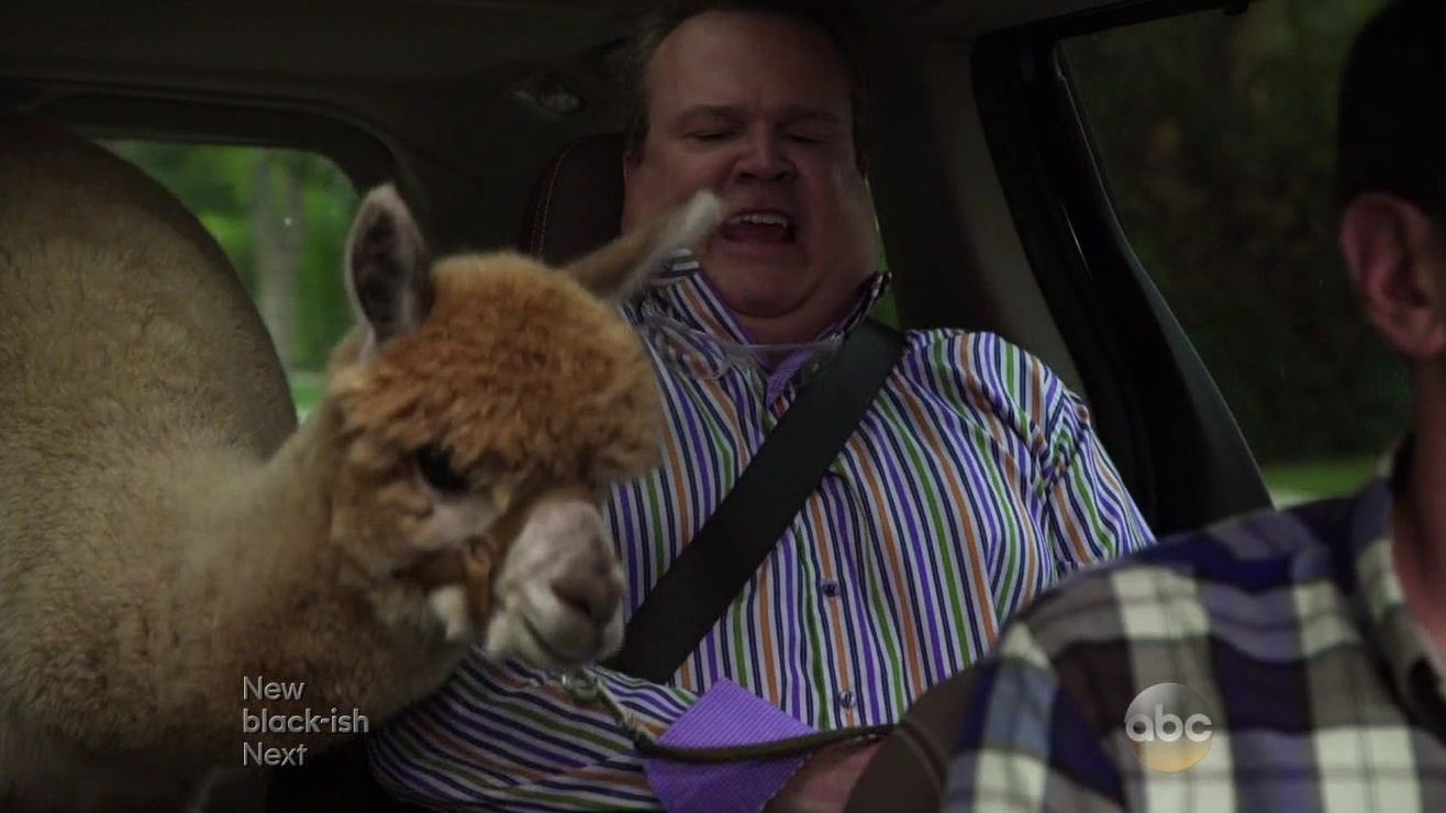 Picture of Modern Family