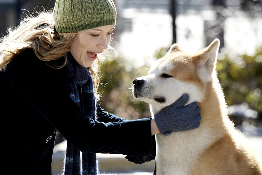 Picture of Hachi: A Dog's Tale