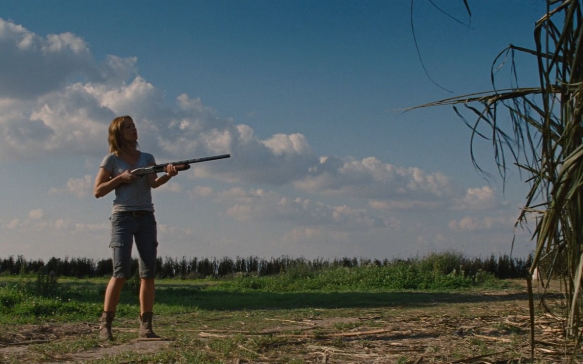 Picture of Looper (2012)