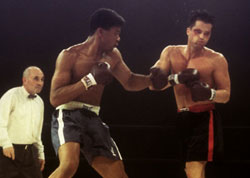 Picture of Joe and Max (2002)