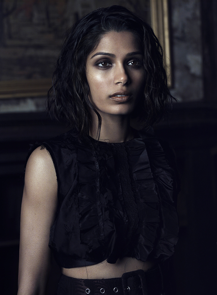 Picture of Freida Pinto