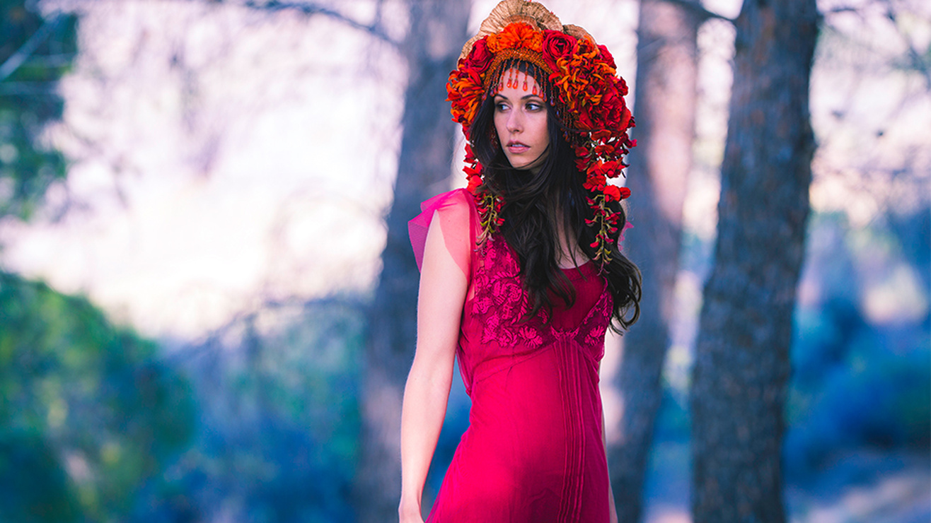 Picture of Amanda Crew