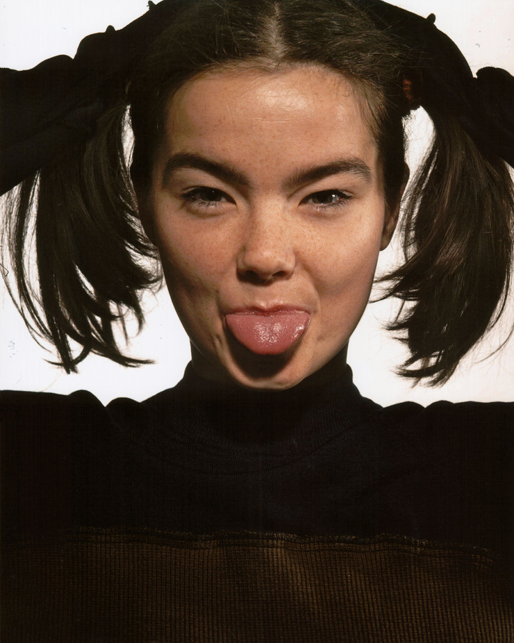 Picture of Björk