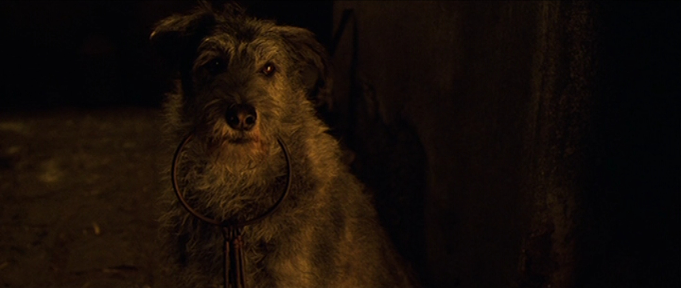 Picture of Pirates of the Caribbean: The Curse of the Black Pearl