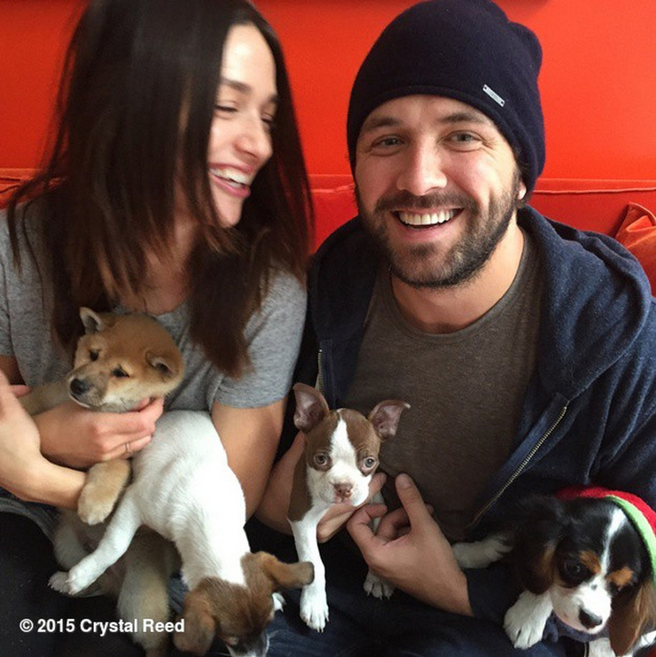 Crystal Reed image