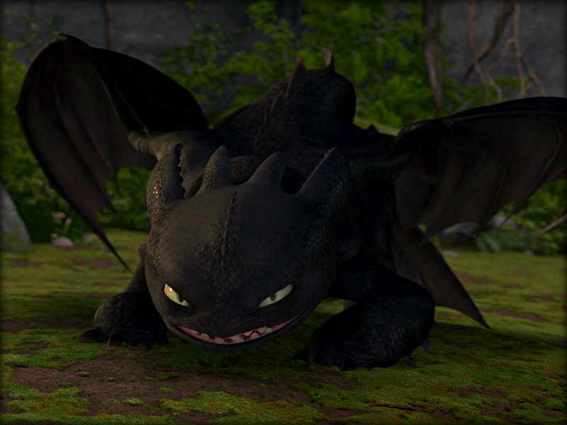 Picture of Toothless