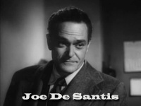Joe De Santis image
