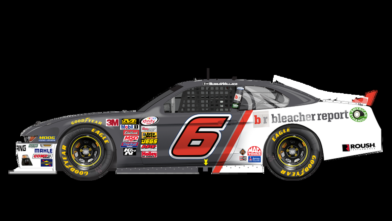 Picture of NASCAR Paint Schemes