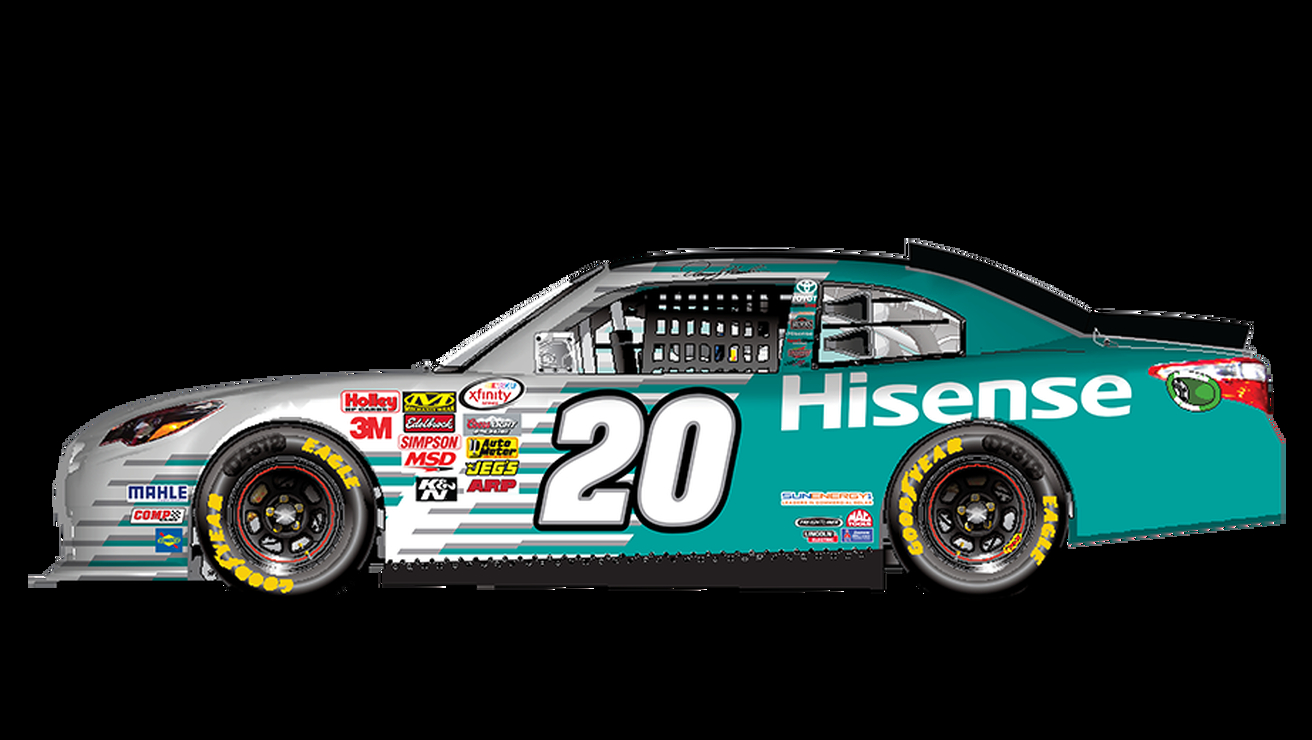 Picture of NASCAR Paint Schemes