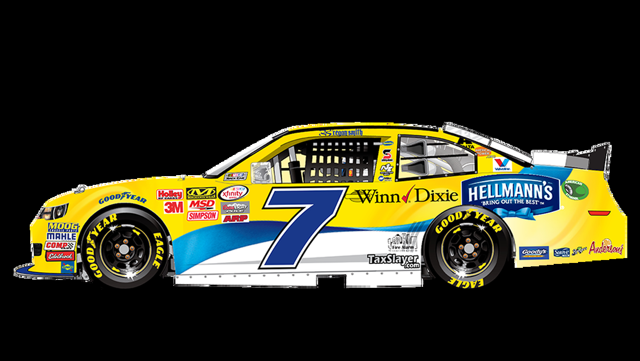 Picture of NASCAR Paint Schemes