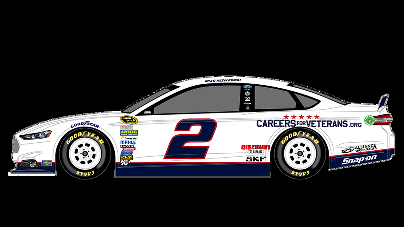 Picture of NASCAR Paint Schemes