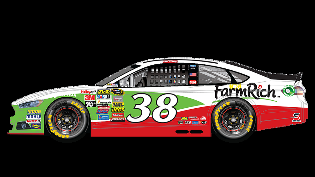 Picture of NASCAR Paint Schemes