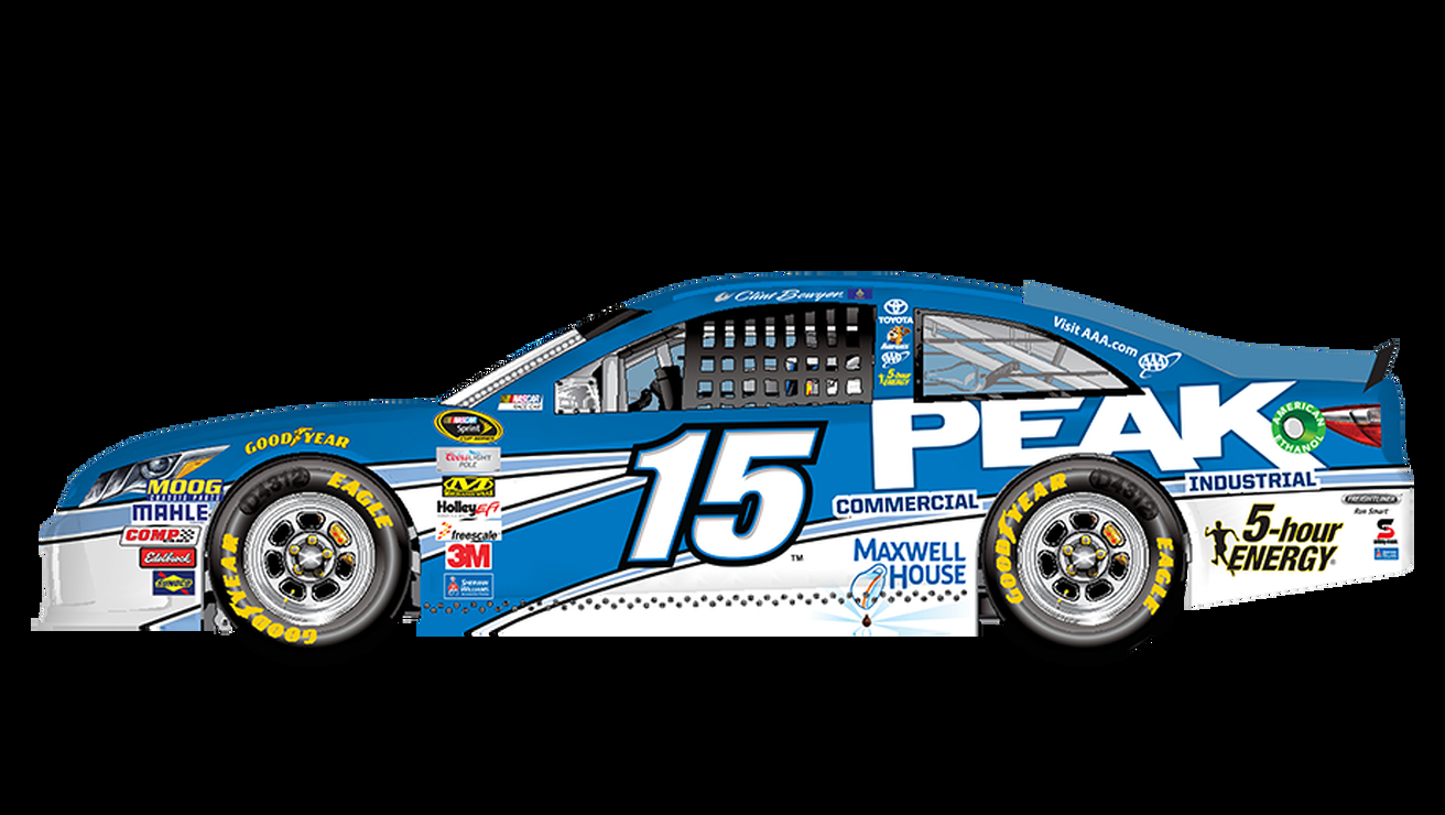 Picture of NASCAR Paint Schemes