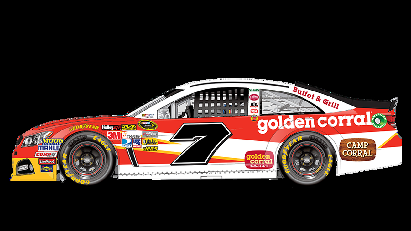 Picture of NASCAR Paint Schemes