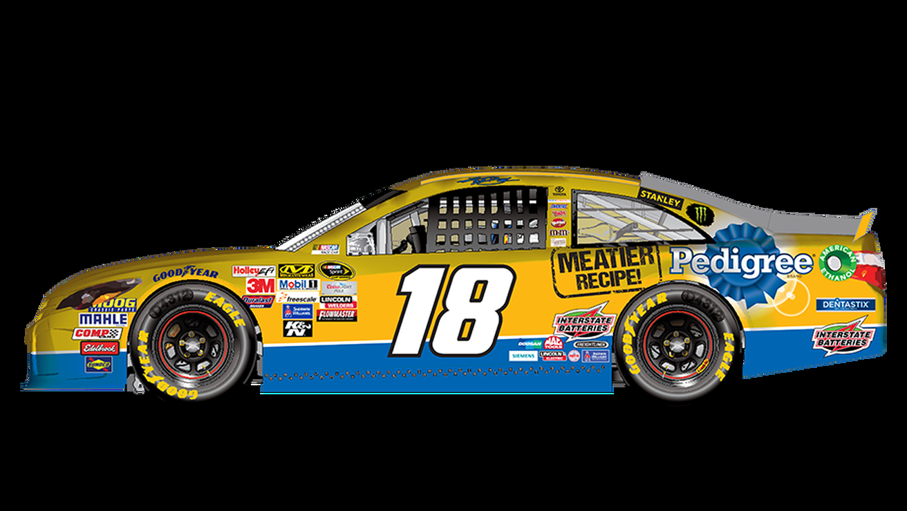 Picture of NASCAR Paint Schemes