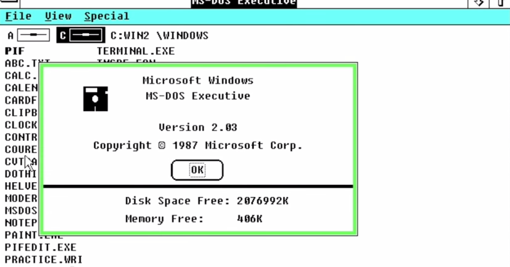 Picture of Windows 2.0