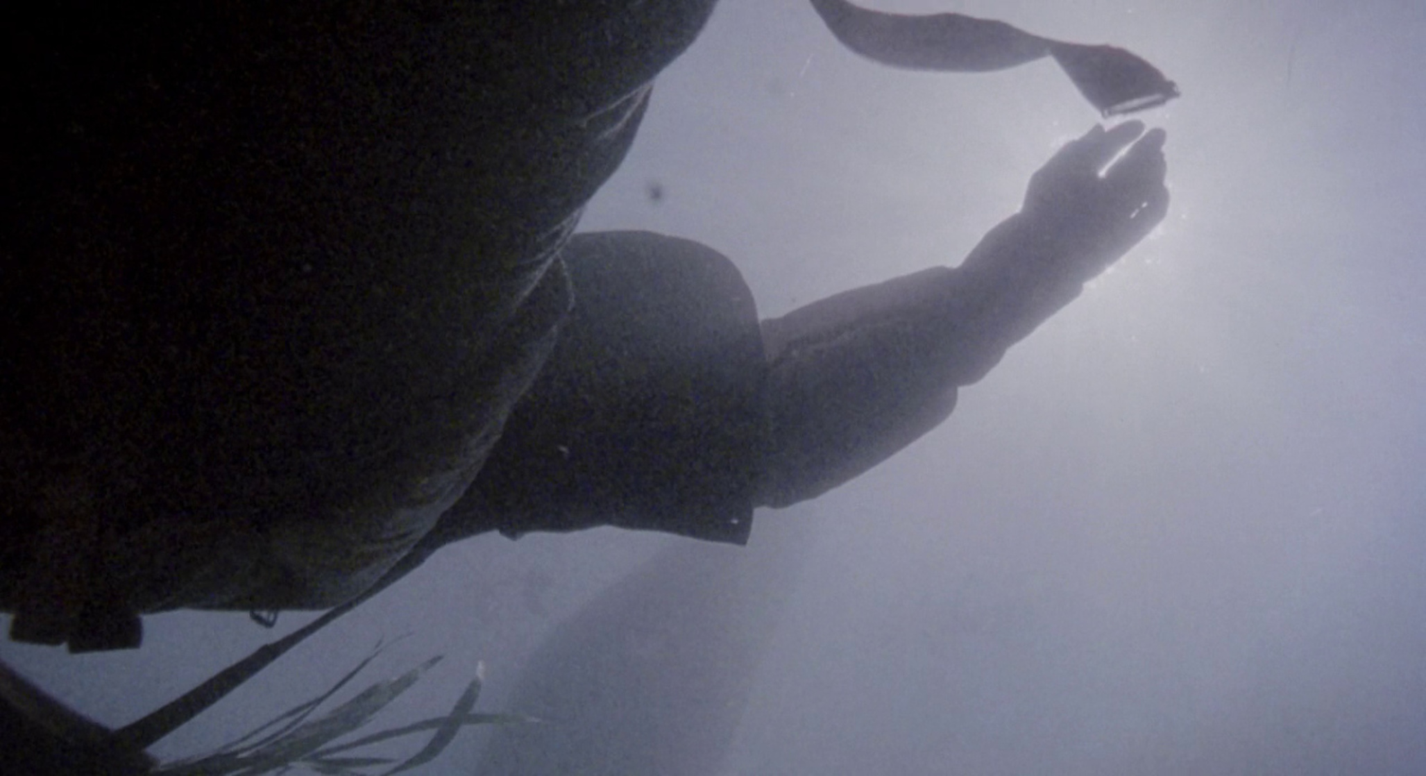 Adaptation. (2002) image