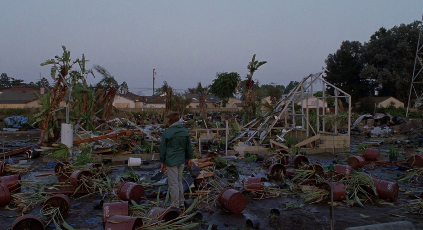 Adaptation. (2002) picture