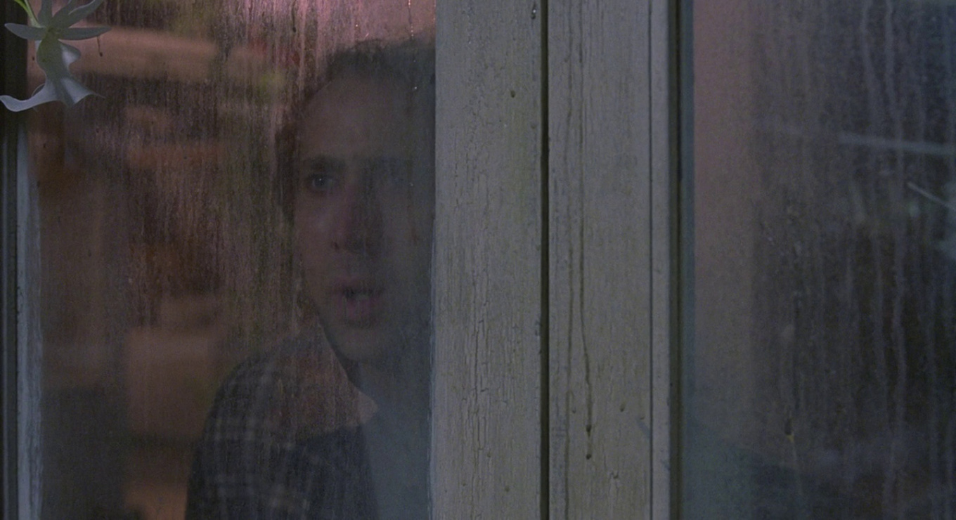 Picture of Adaptation. (2002)