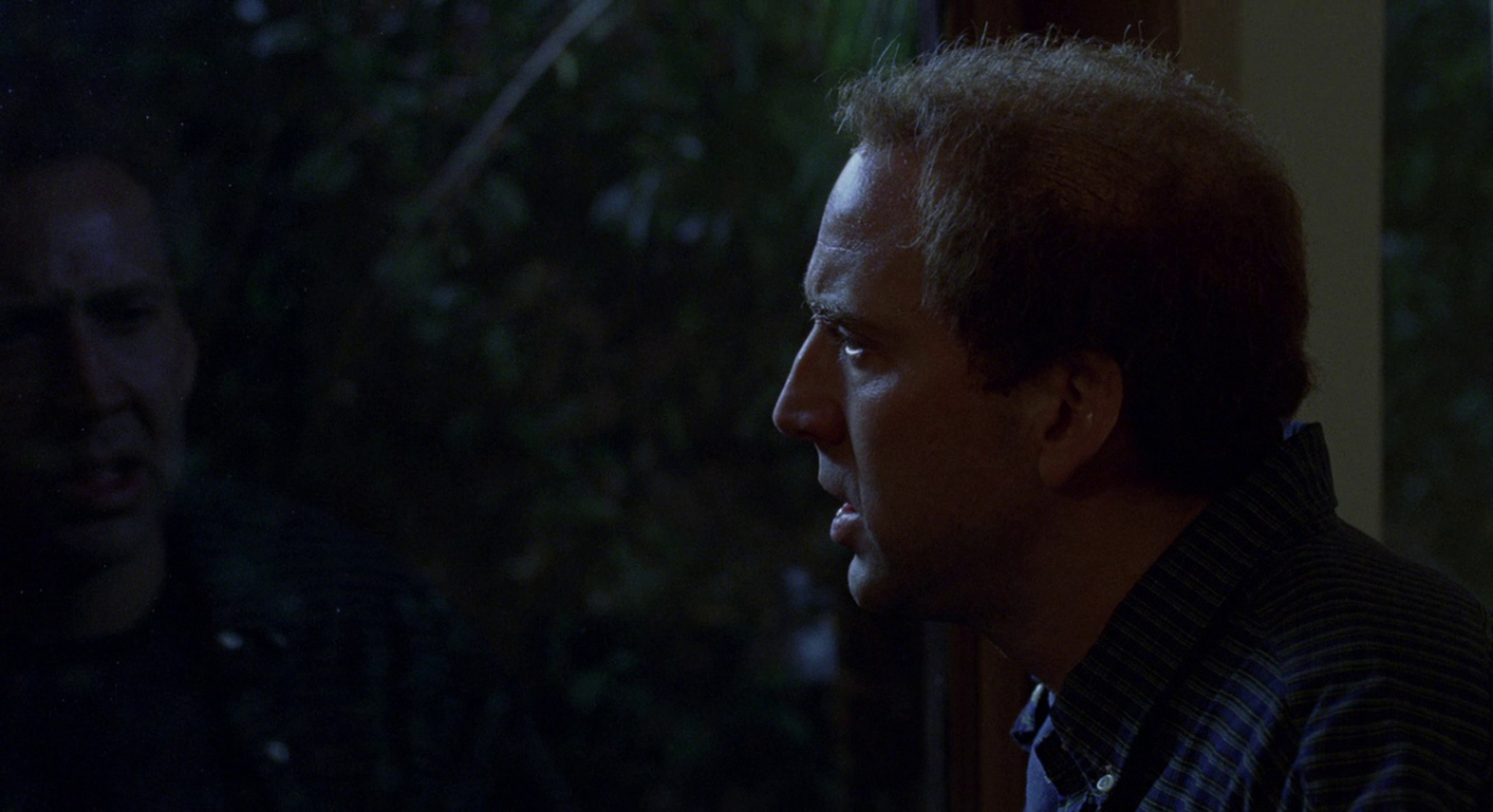 Picture of Adaptation. (2002)