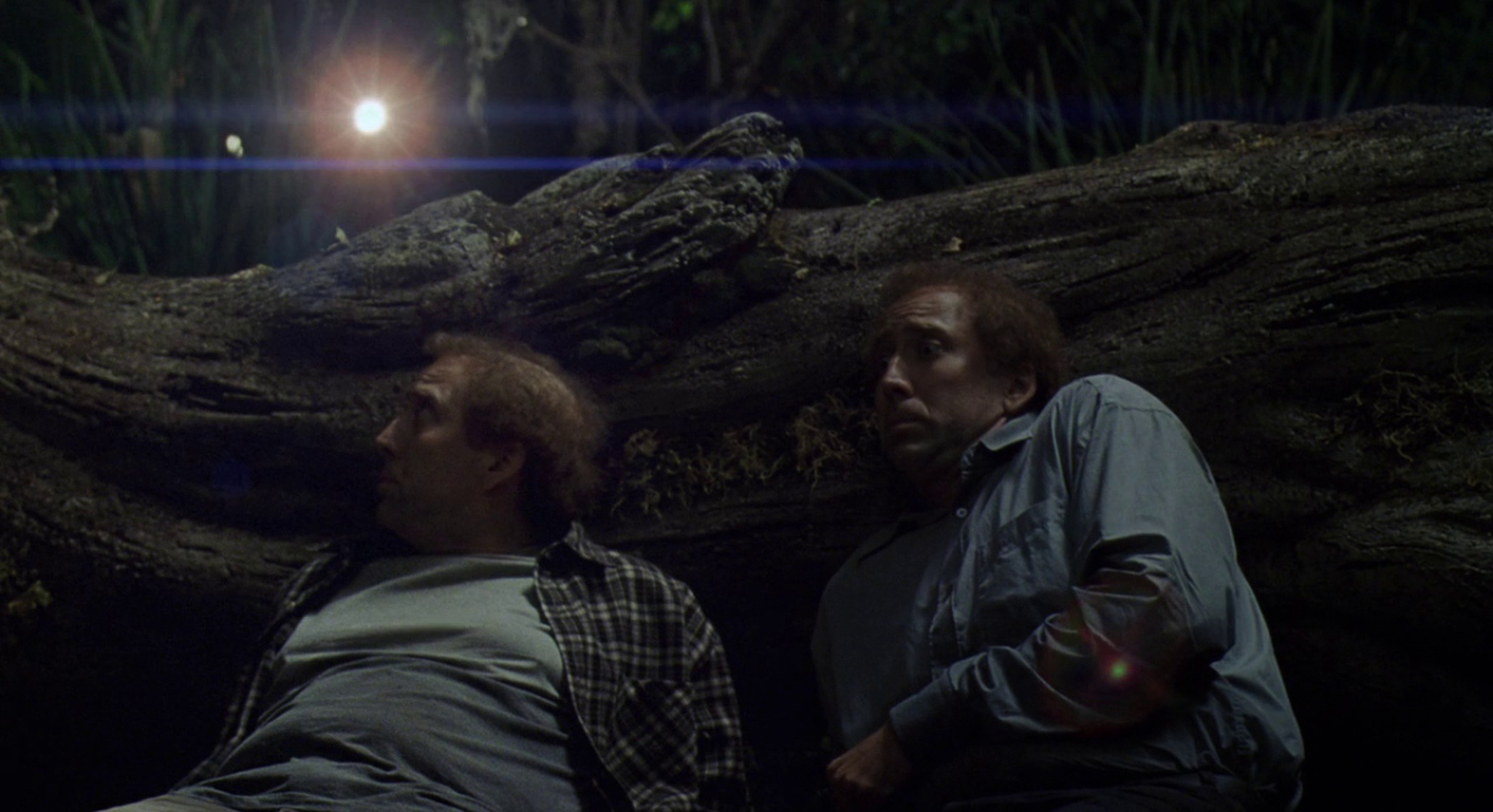 Picture of Adaptation. (2002)