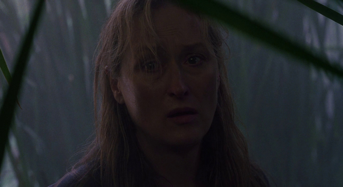 Picture of Adaptation. (2002)