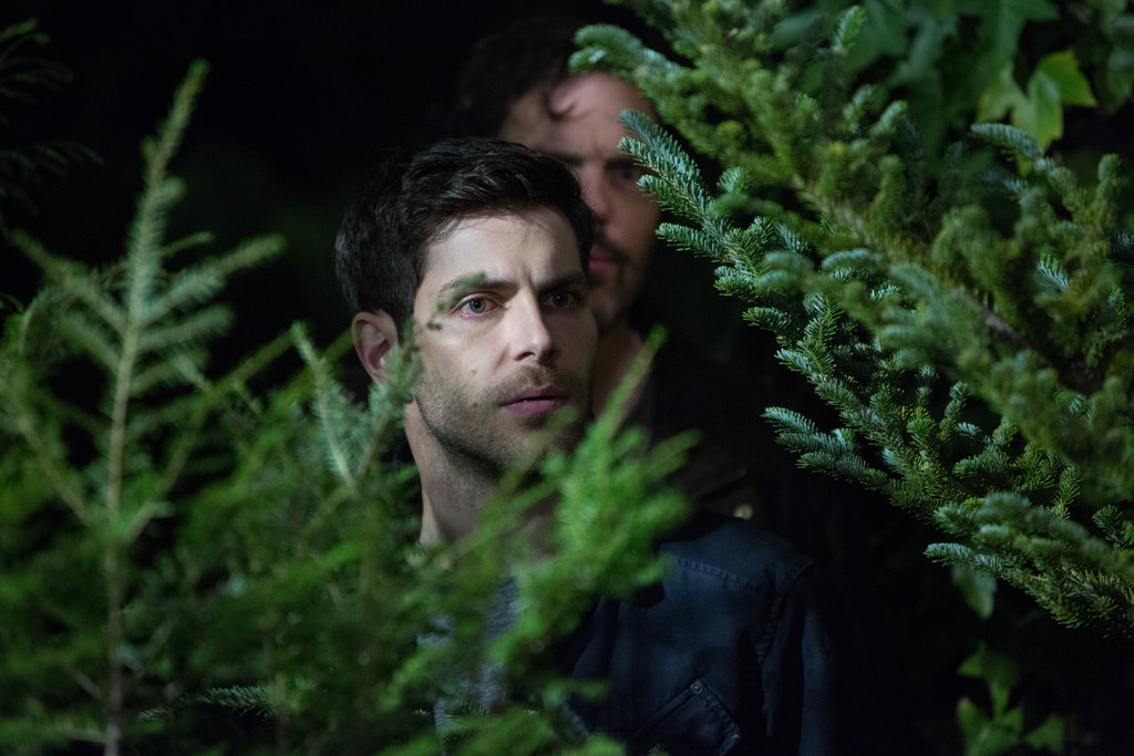 Picture of Grimm