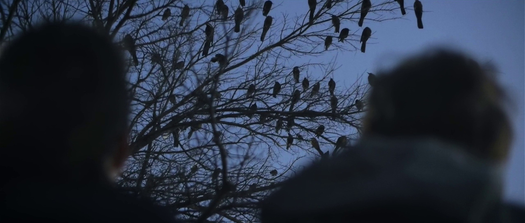 Picture of Upstream Color