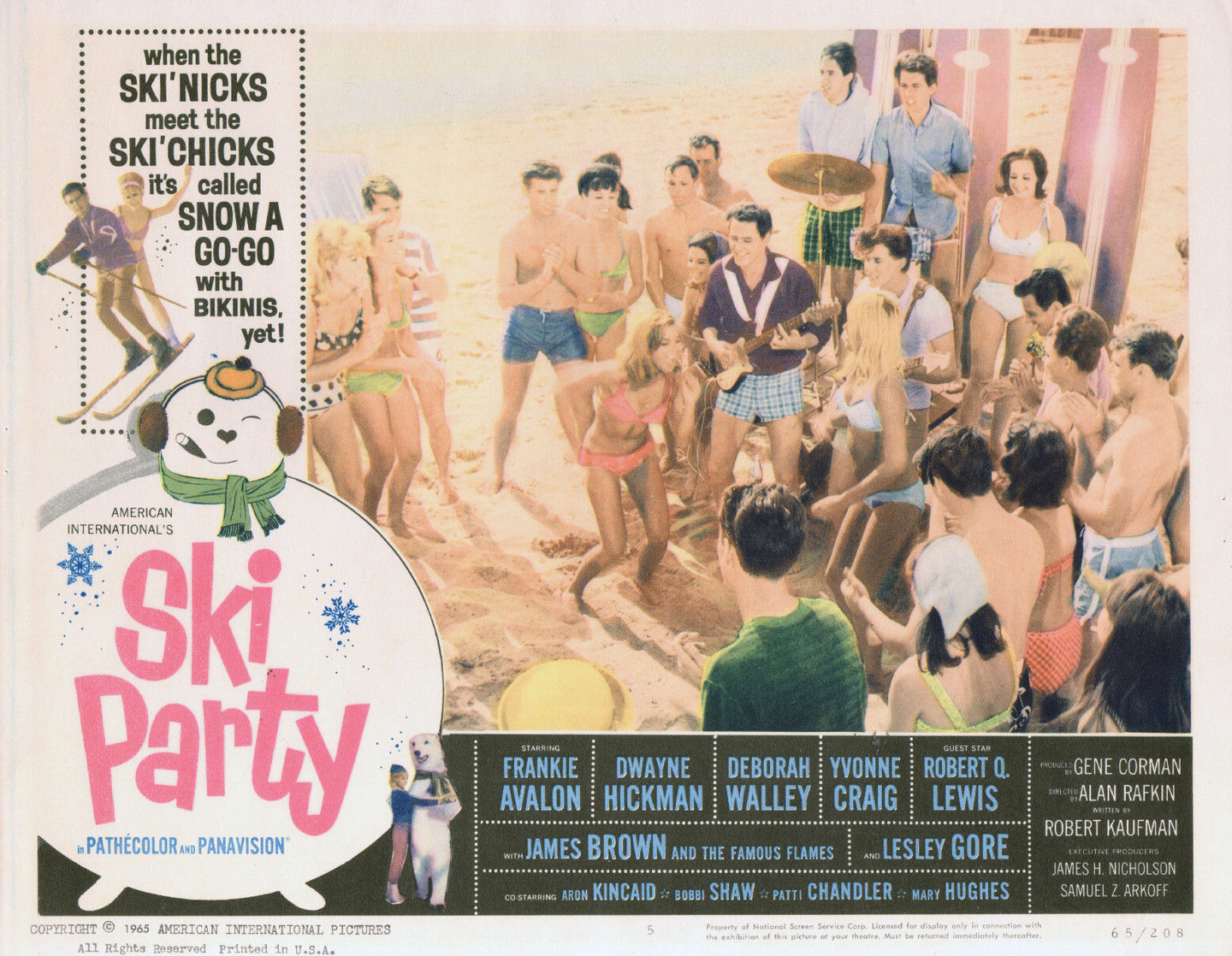 Picture of Ski Party