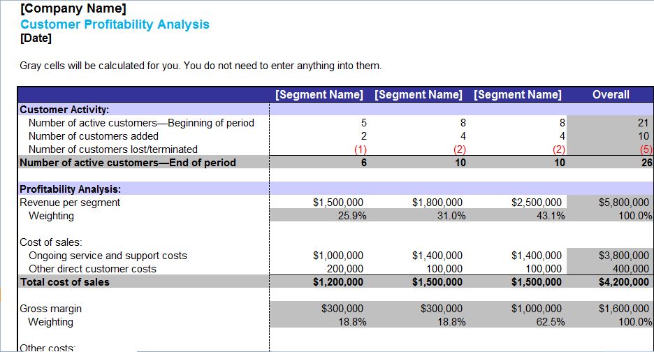 Customer Profitability Analysis Template