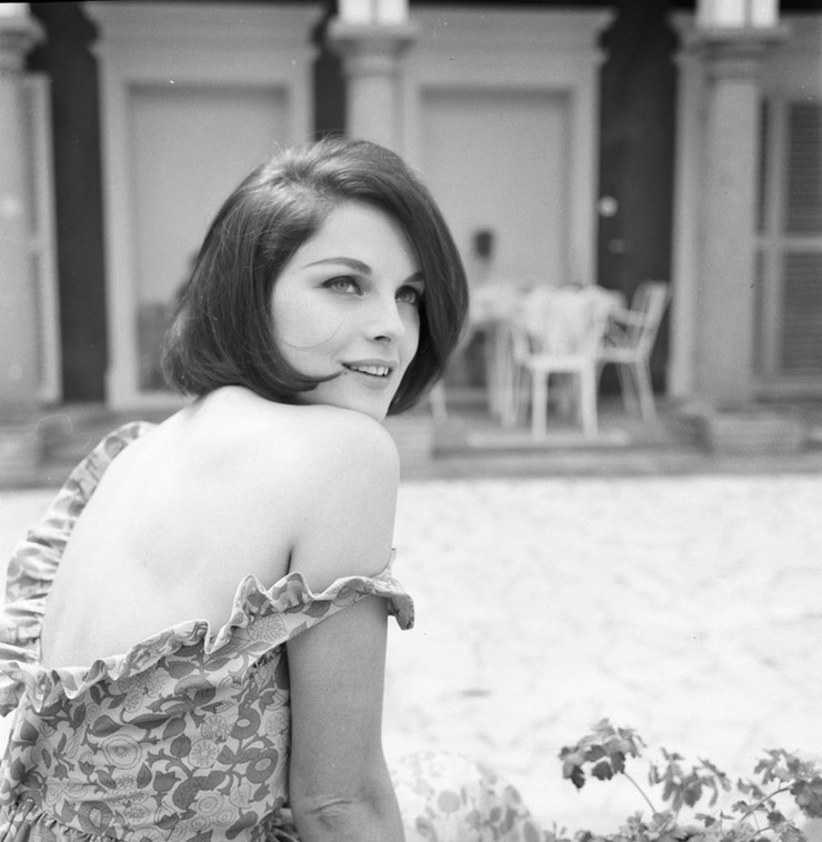 Virna Lisi image
