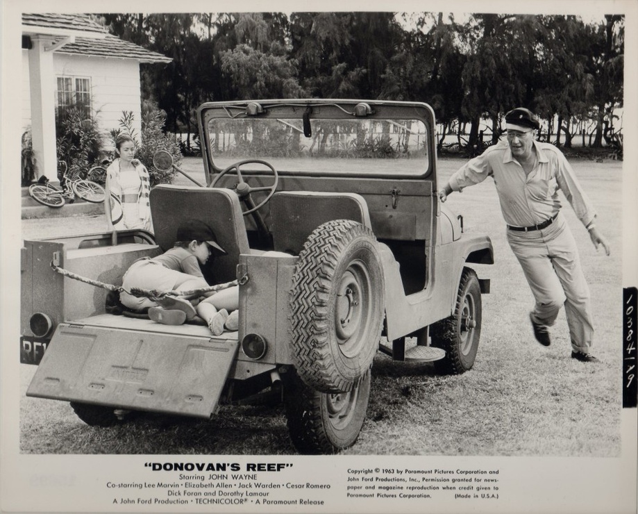 Donovan's Reef picture