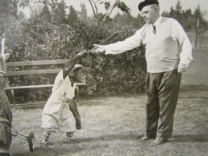 Picture of Bonzo Goes to College