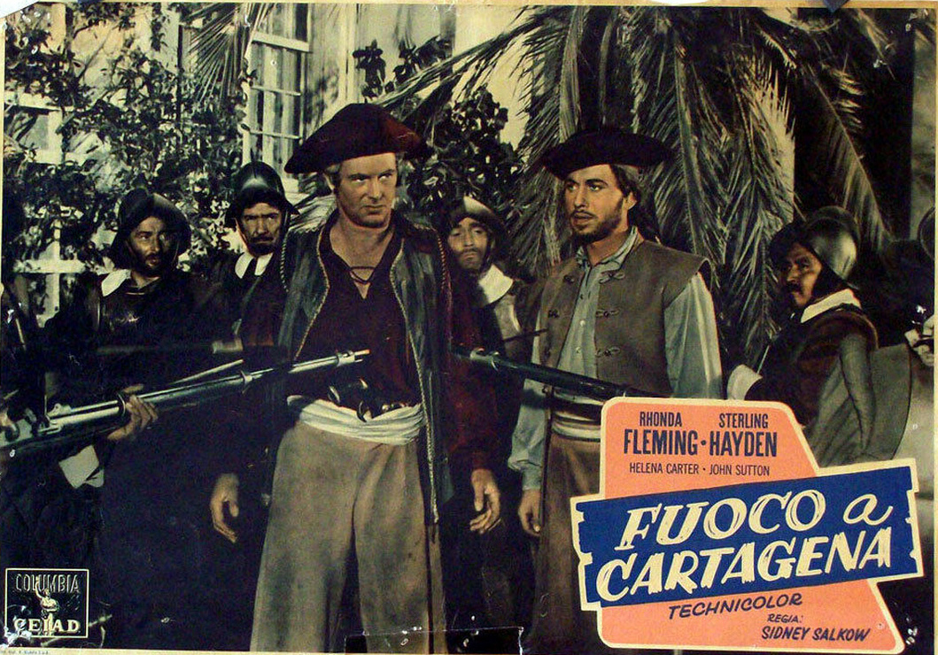 Picture of The Golden Hawk