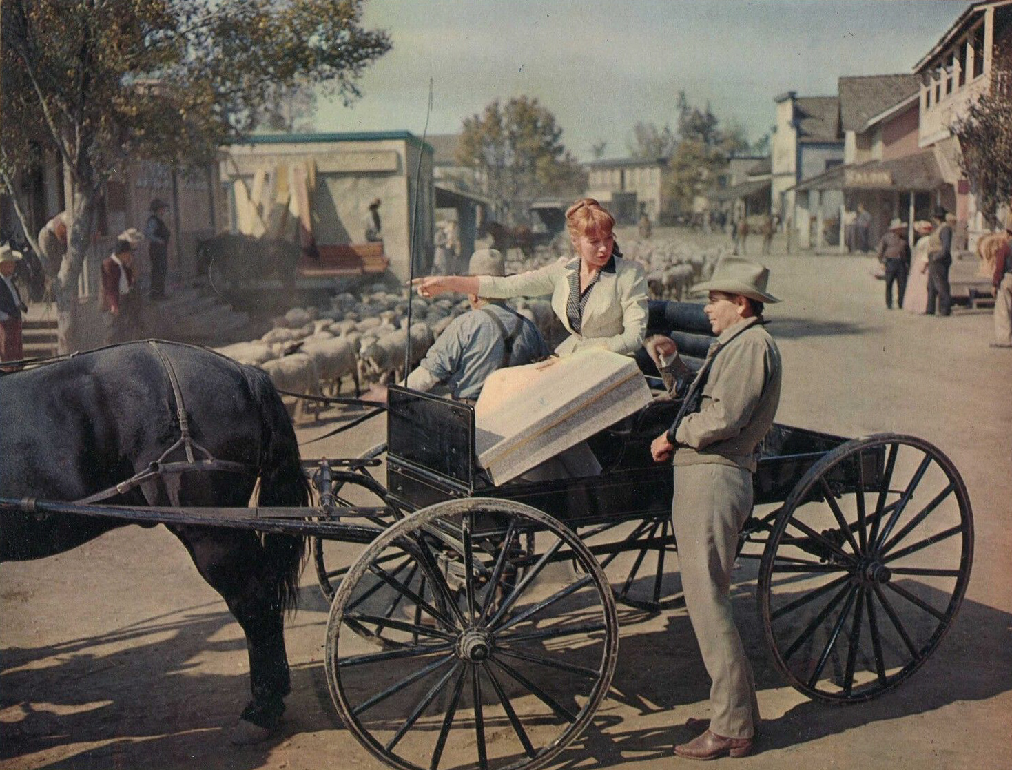 Picture of The Sheepman