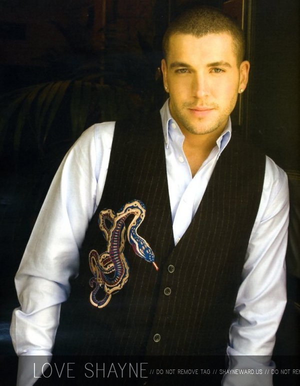 Shayne Ward image