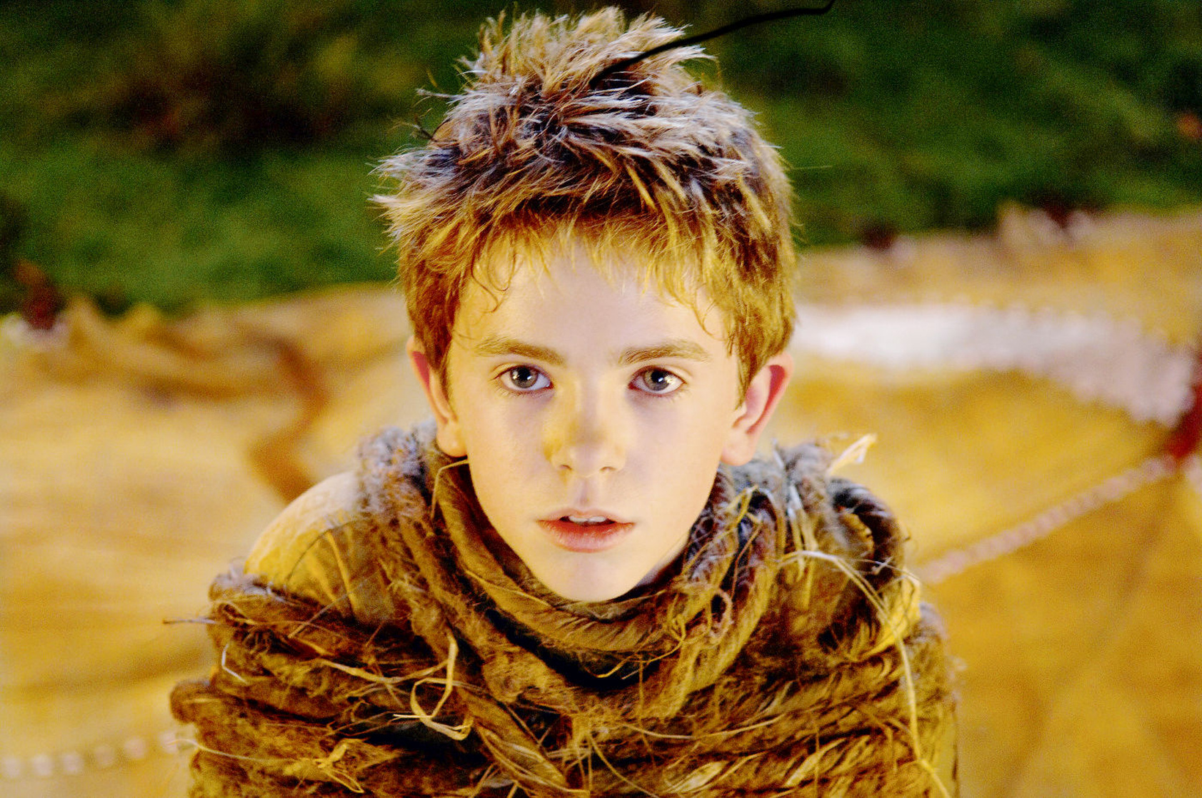 Picture of Arthur and the Revenge of Maltazard