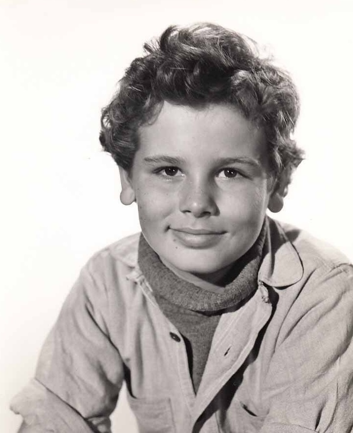 Picture of Dean Stockwell