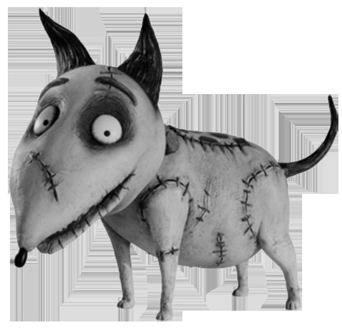 Picture of Sparky (Frankenweenie)