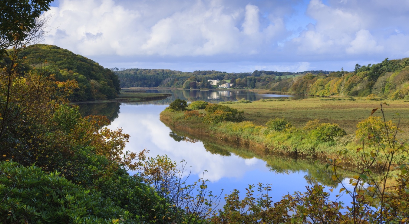 Daugleddau Estuary, Wales