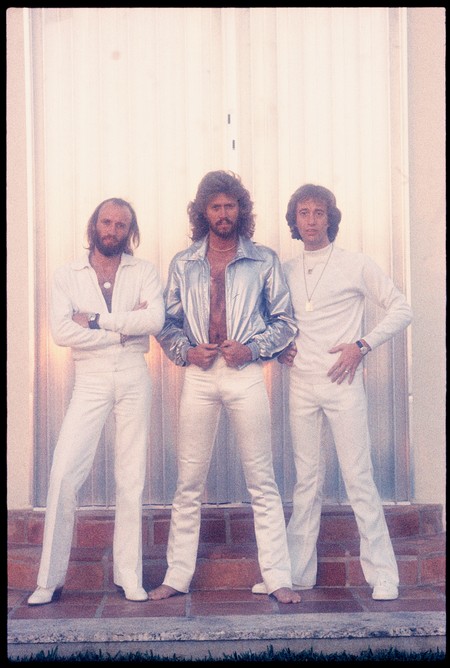Picture of The Bee Gees