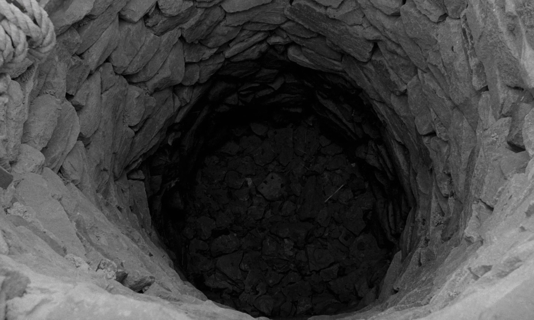 Image of The Turin Horse (2011)