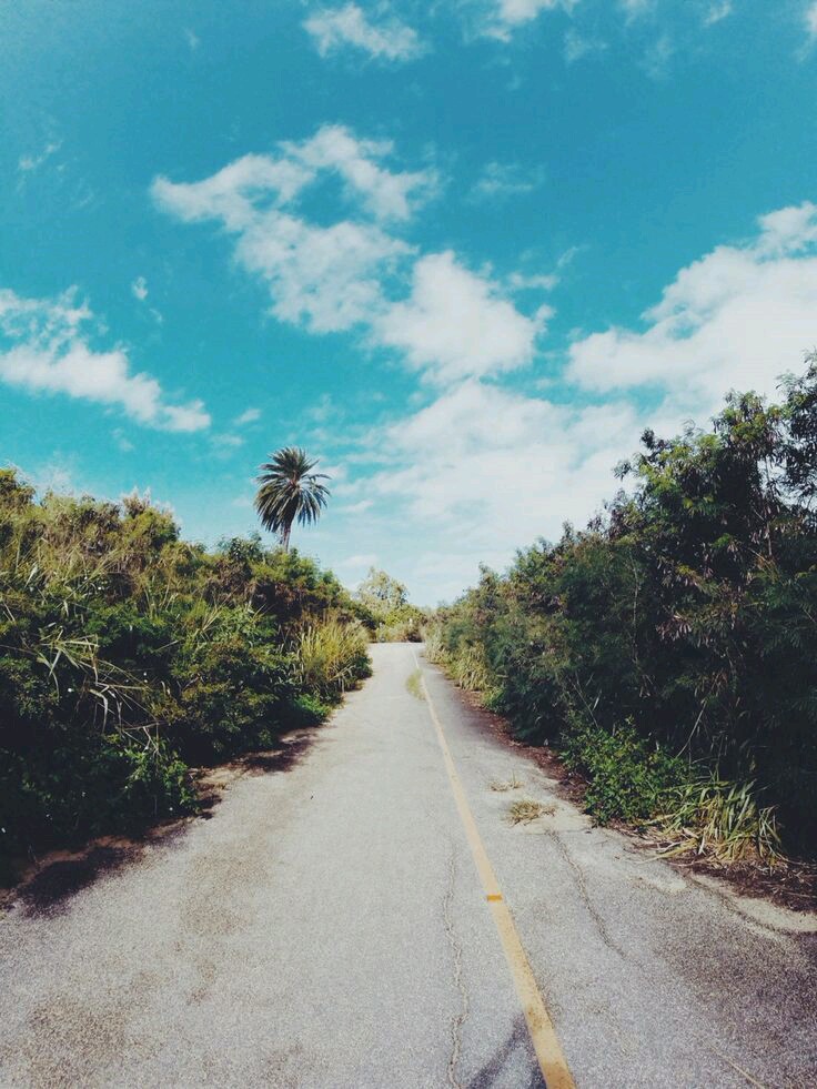 Listal - List the stuff you love! Movies, TV, music, games and books